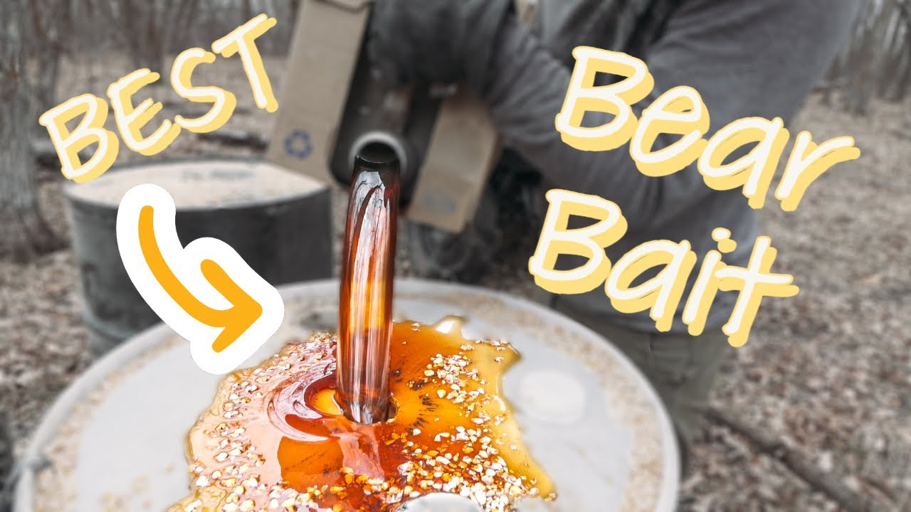 2021-THE BEAR HUNTING PROJECT EP. 1 (SIMPLEST BEST BEAR BAIT!) SPRING ...