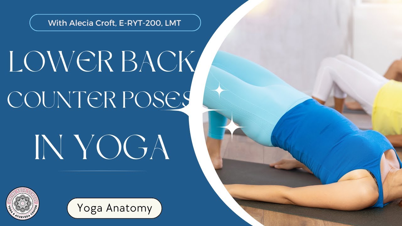 Lower Back Counter Poses - Yoga Anatomy - Online Yoga School - YouTube