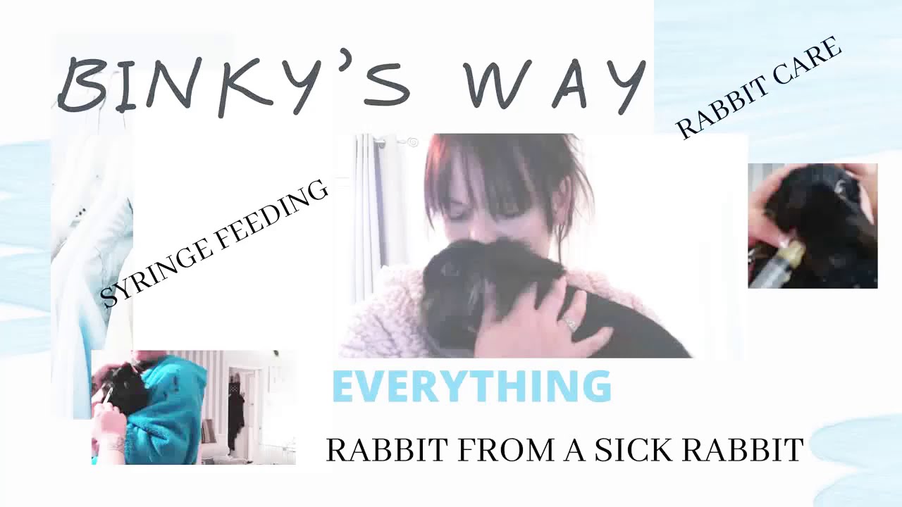 rabbit with seizures never give up hope! a bunnys determination story ...