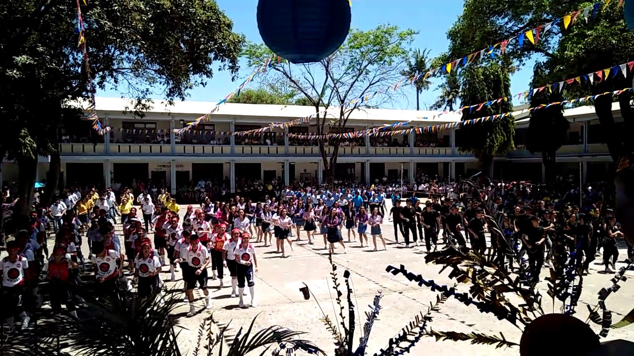 Grade 9 Field Demo CIC-Mandaue Synergy Days 2019 - YouTube