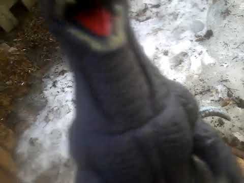 Godzilla vs jason - YouTube