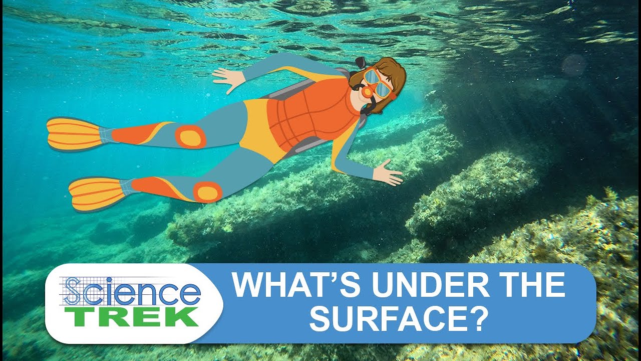 Oceans: What's Under the Surface? | Science Trek - YouTube