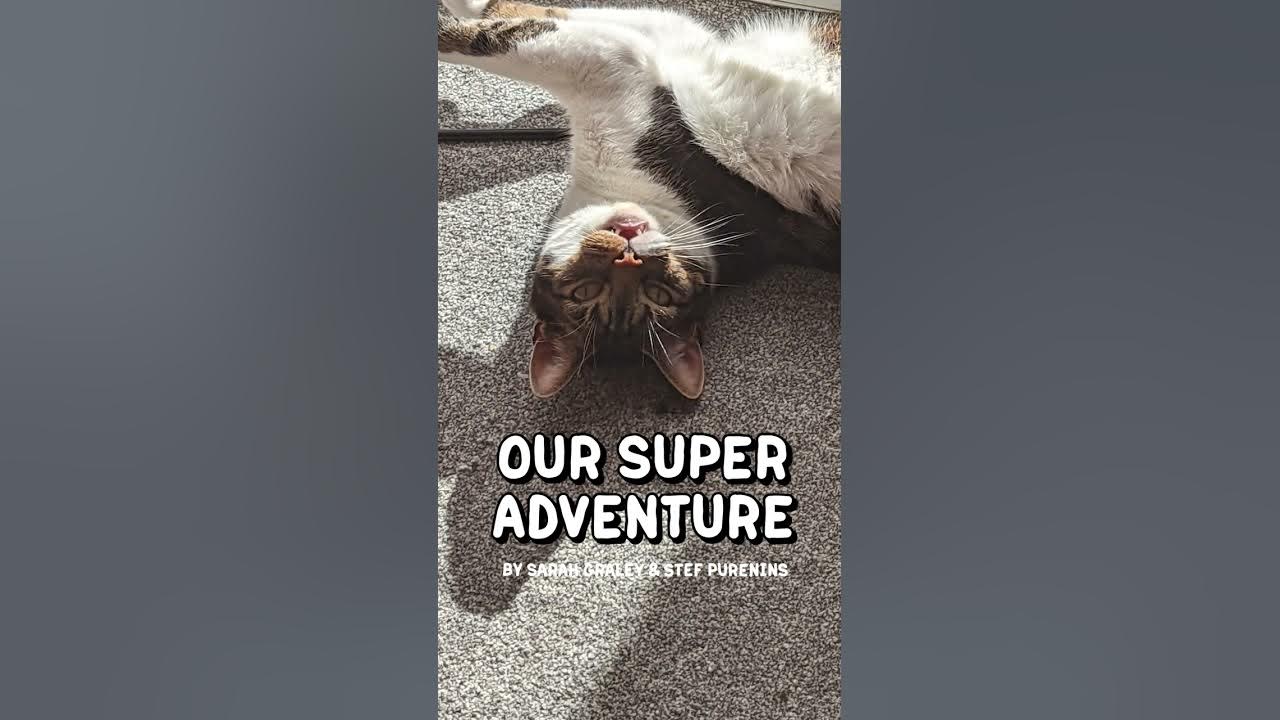 Dancing With The Cat Who Doesn t Like To Dance By Our Super Adventure dancing-with-the-cat-who-doesn-t-like-to-dance-by-our-super-adventure