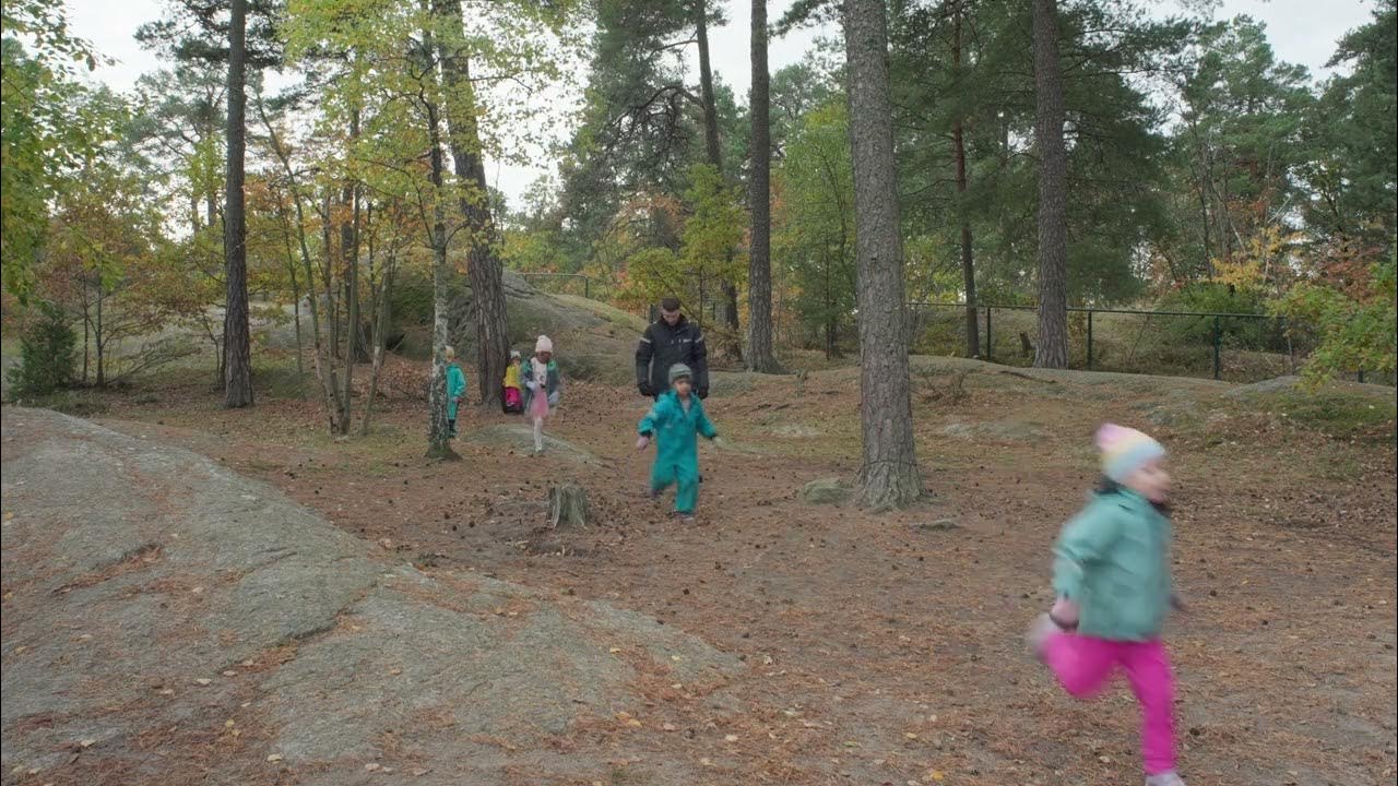 Utelek i skogen - YouTube