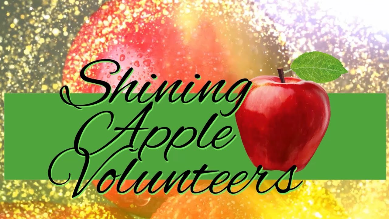 2025 Shining Apple Volunteer Awards - YouTube