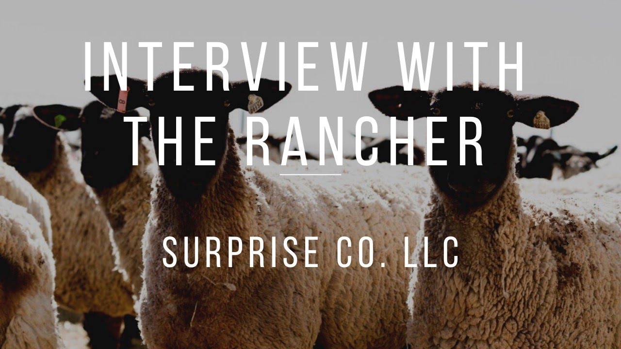 Interview with the Rancher: Ep. 1 - Surprise Co. LLC - YouTube