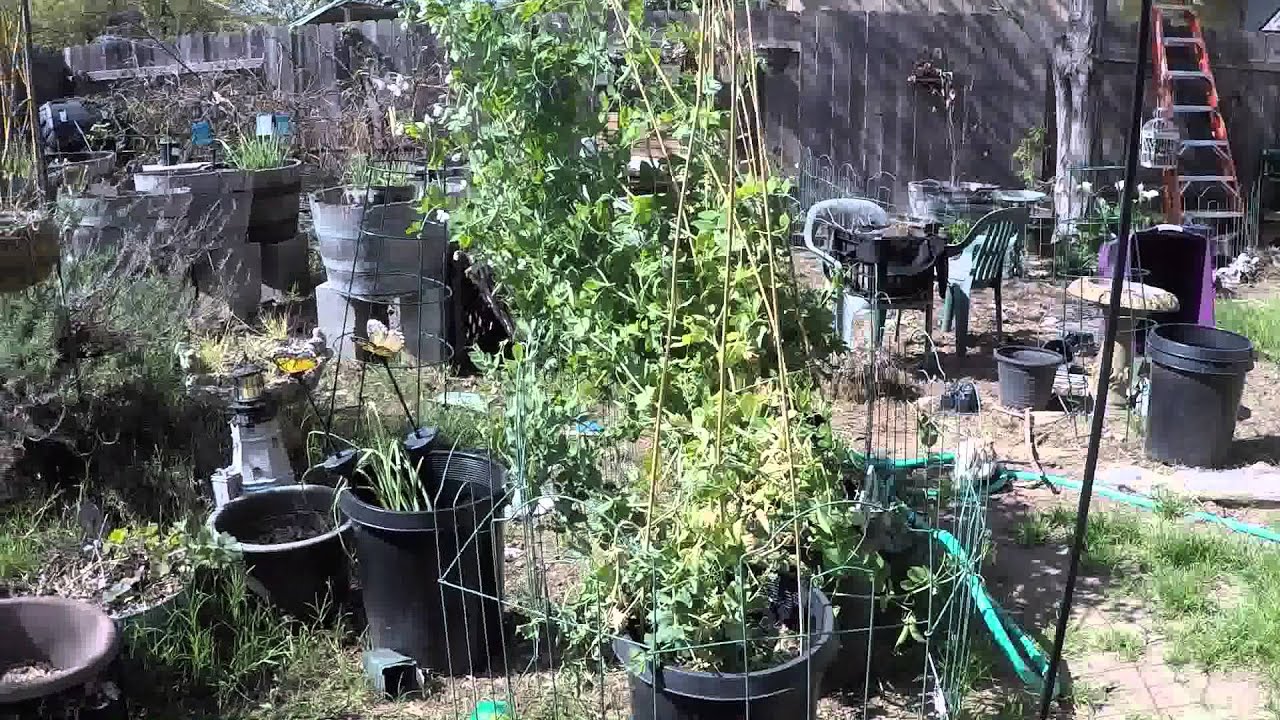 Messy BackYard April 2015 - YouTube