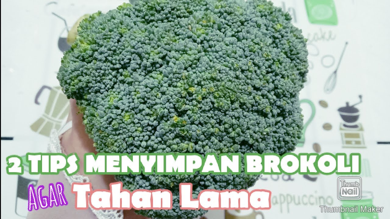 2 CARA MENYIMPAN SAYUR BROKOLI AGAR TETAP HIJAU TANPA DIRENDAM | HOW TO ...
