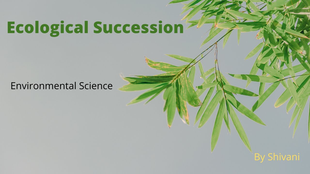 UGC NET 2021/Basics of Ecological Succession | Environmental Science ...