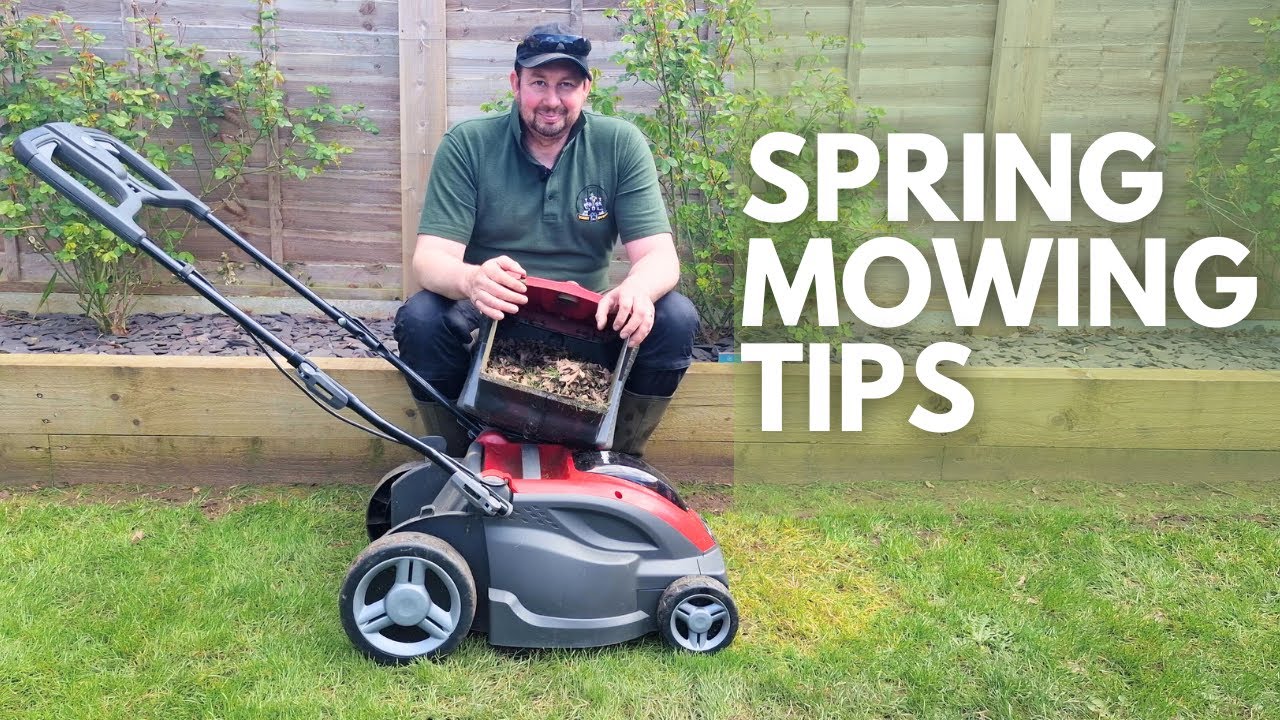 First Lawn Mow of the Year: Expert Tips & Tricks for Perfectly Mowed ...