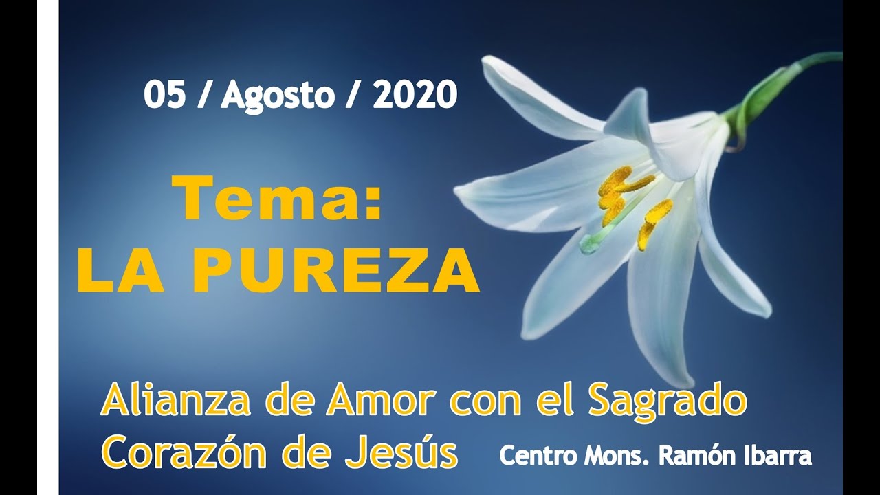 LA PUREZA, POR EL P. LUIS MARTINEZ PEÑALOZA M.Sp.S. - YouTube