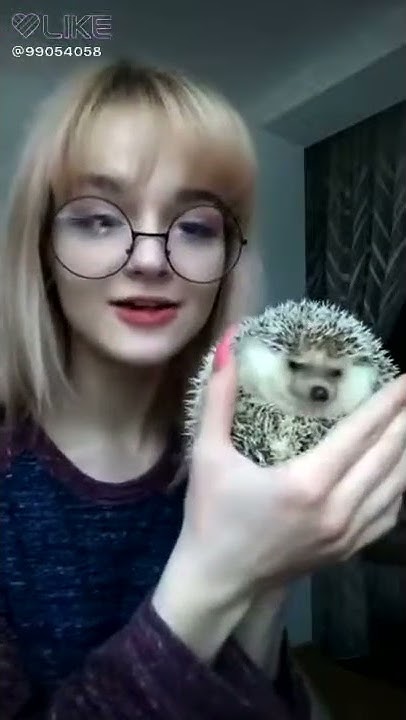 Ёжик Youtube