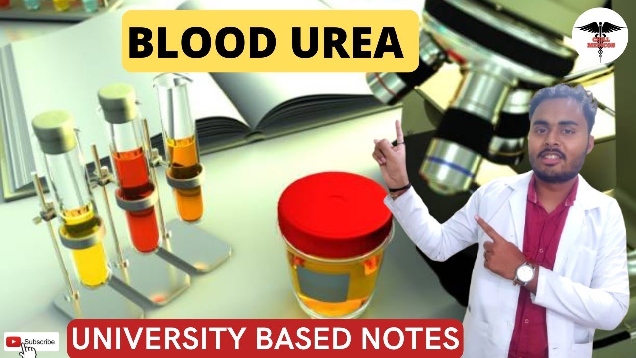 Blood Urea || abnormality in blood Urea levels | uremia. - YouTube