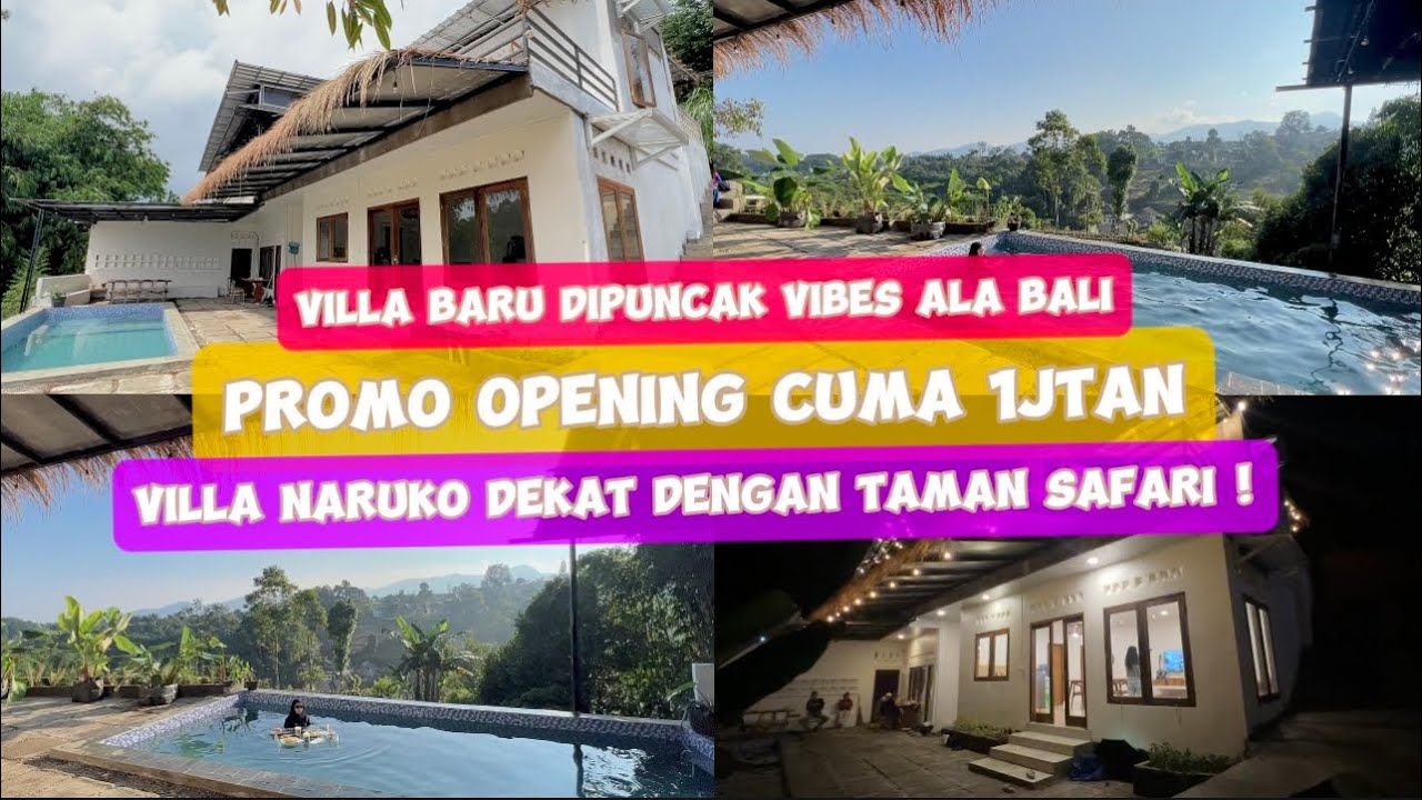 VILLA NARUKO‼️BARU OPENING CUMA 1JUTAAN VIBES ALA BALI diPUNCAK BOGOR‼ ...