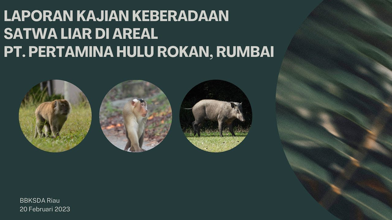 Laporan Kajian Terhadap Keberadaan Satwa Liar di Areal PT. Pertamina ...