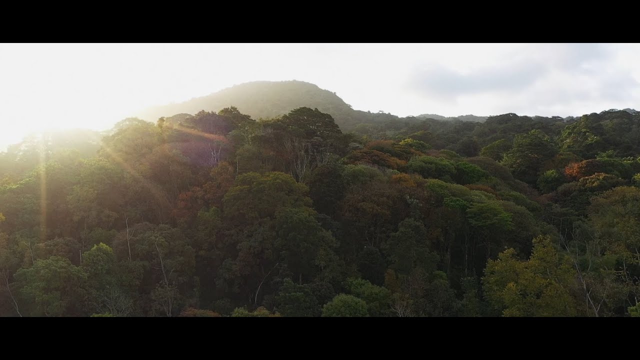 Take a Virtual Tour of My Heights of Aripo - Trinidad and Tobago - YouTube