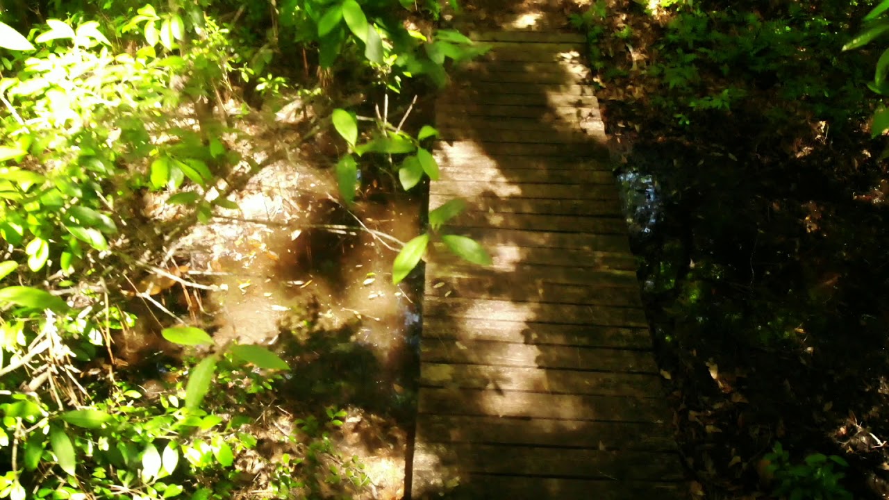 Mobile Botanical Gardens - Mobile, Alabama - YouTube