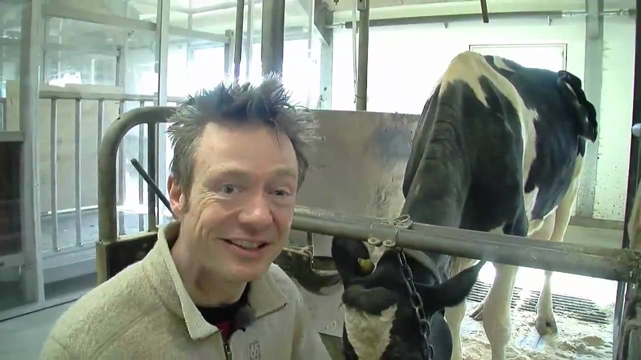 Koens 4 maver - YouTube