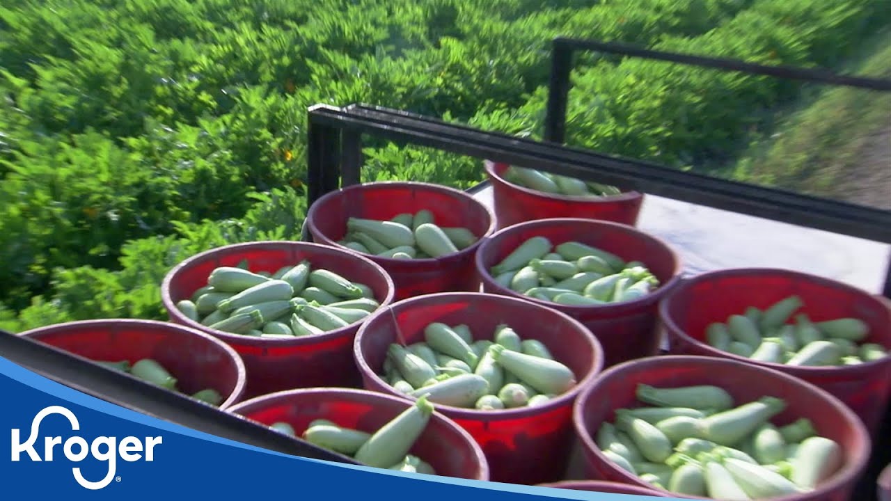 Ruhlig Farms | Kroger Partners | Kroger - YouTube