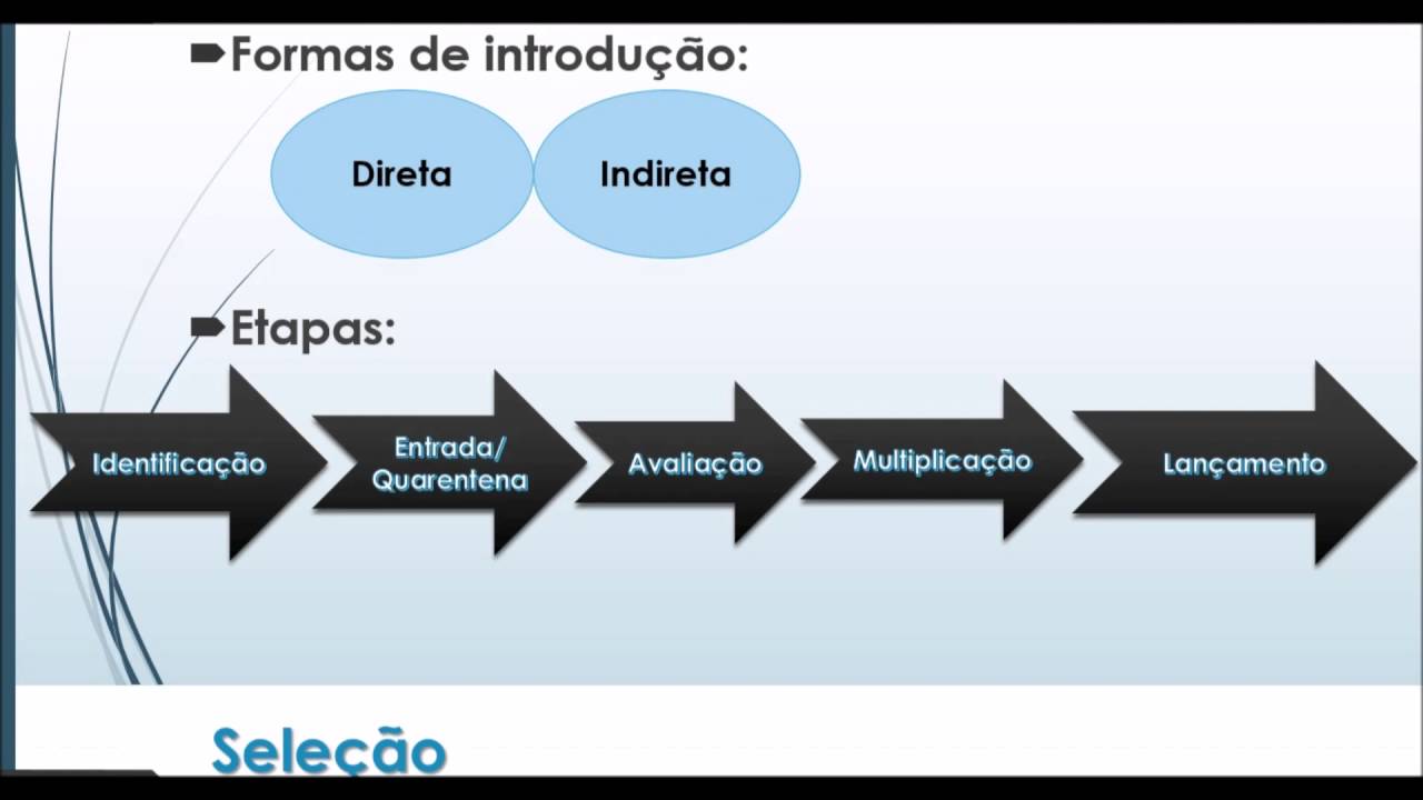 6ª Vídeo-aula Melhoramento de plantas Autógamas - YouTube
