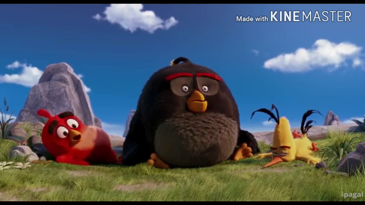 Angry Birds Movie Funny Scene in Hindi - YouTube