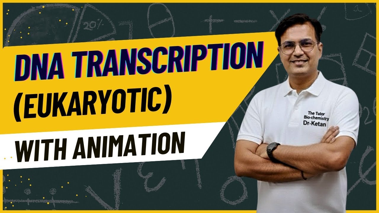 Transcription in Eukaryotes Biochemistry | Eukaryotic DNA transcription ...
