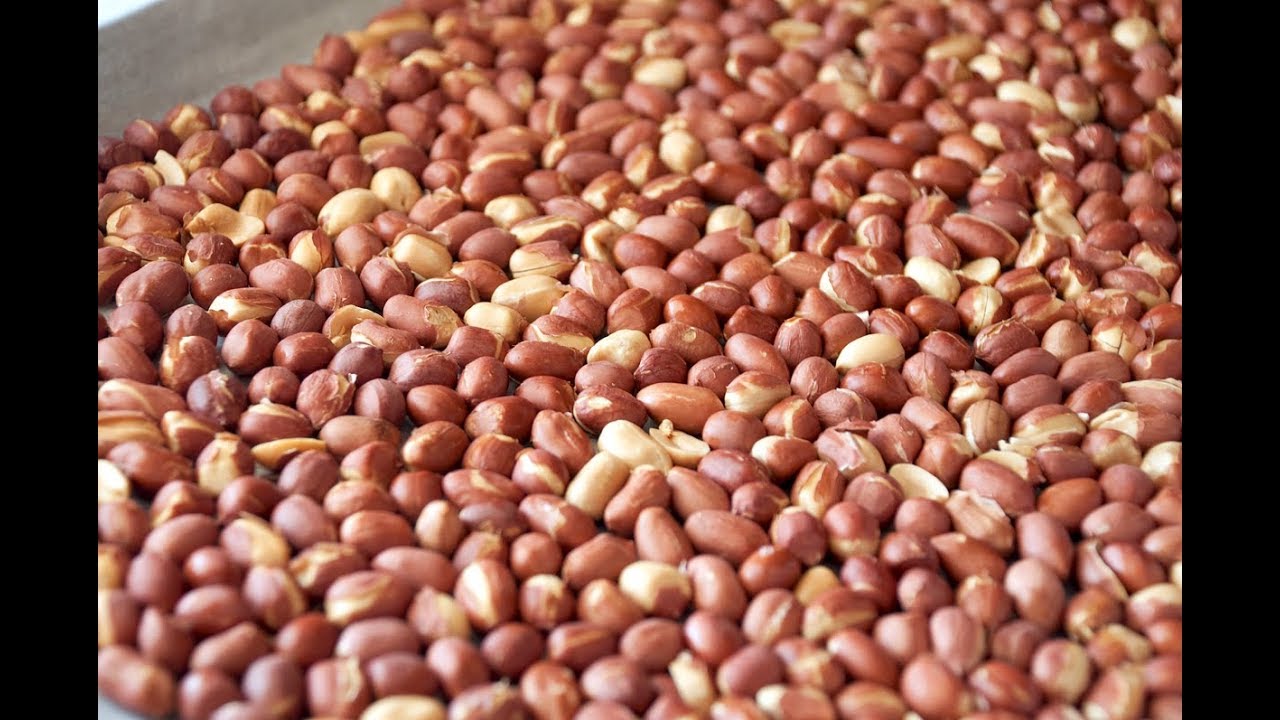 How to Fastly Remove Roasted Peanut Skin? Peanut Dry Peeling Machine ...