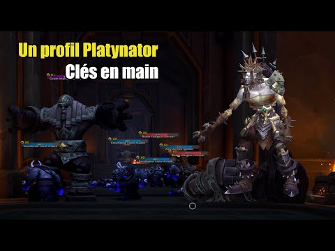 [Addon] Un profil pour les barres de vie, tout prêt ! (Platynator)