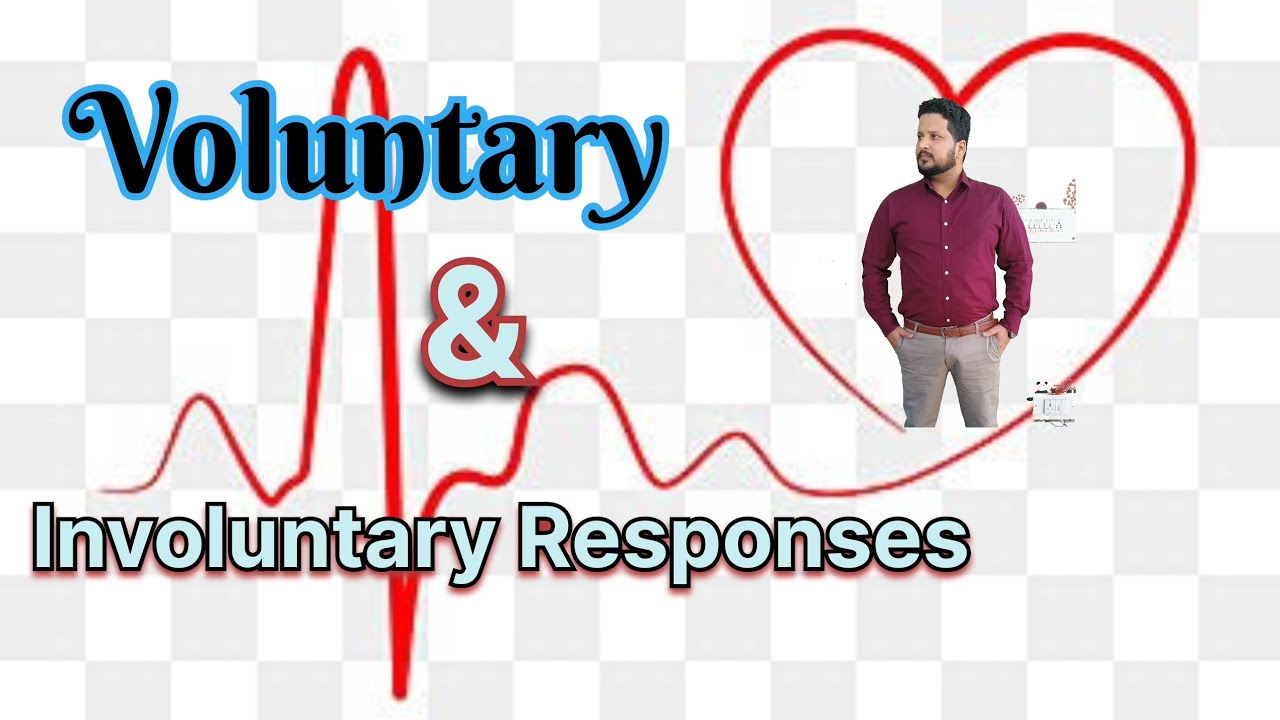 Voluntary and Involuntary Responses #Hypnic#reflexaction #science # ...