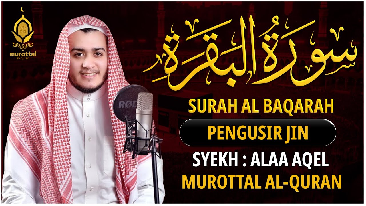 SURAH AL BAQARAH by ALAA AQEL - Setan kabur Dari Rumah - Penenang Hati ...
