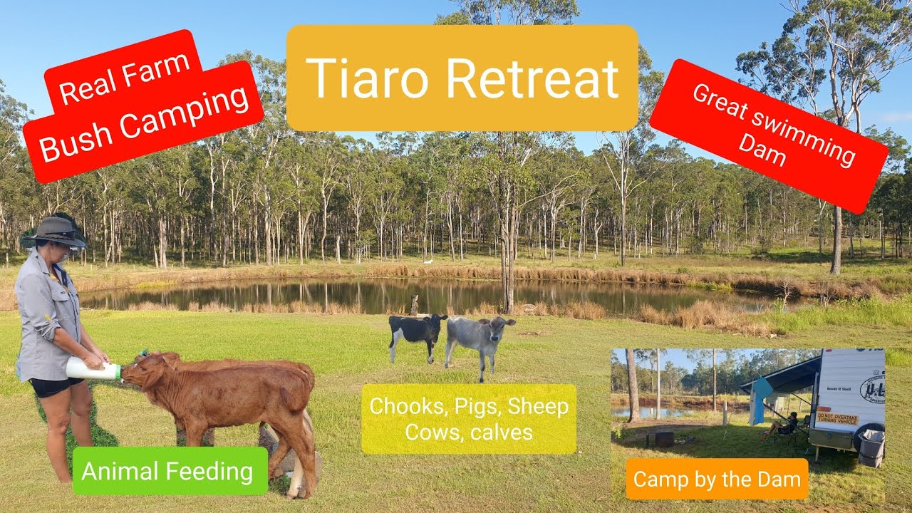Tiaro Retreat Qld Bush Camp Farmlife (New Hipcamp) Self Contained ...