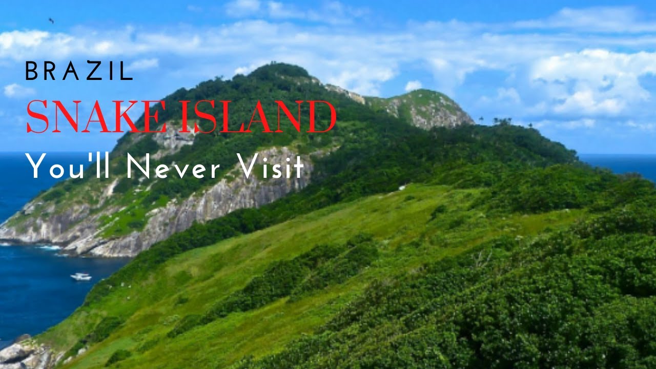 Snake Island Brazil - snake island video - snake island documentary ...