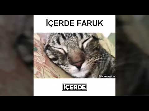 Efsane dublajlar ●●2018 furkanemirce:D