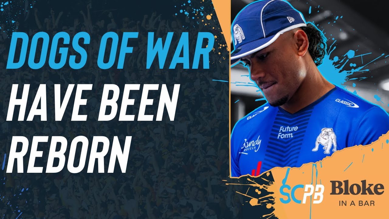 NRL 2024 - Dogs of War have been reborn - YouTube