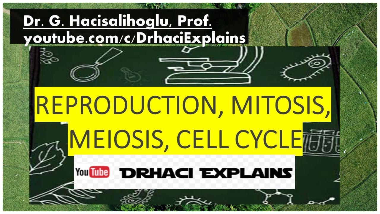 [BSC1005] CH.6,7 REPRODUCTION MITOSIS, MEIOSIS, CELL CYCLE - YouTube