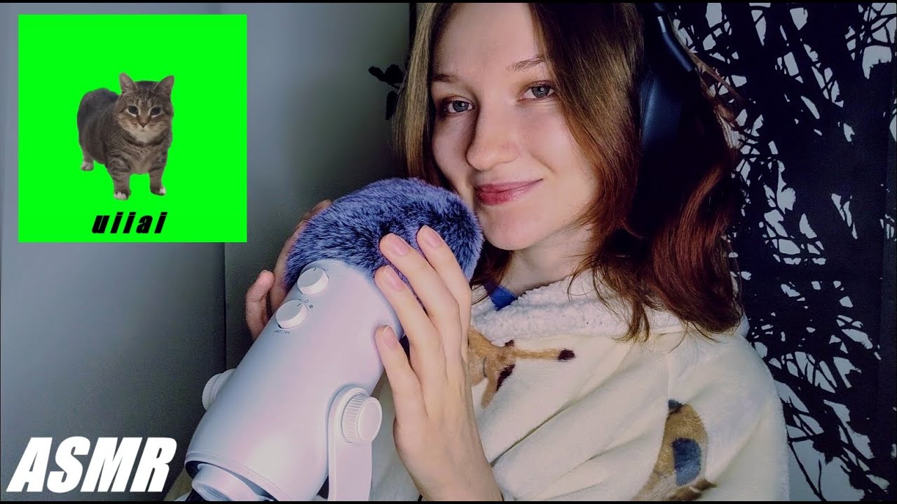 ASMR u i i a i 🐱 (cat brainrot) - YouTube