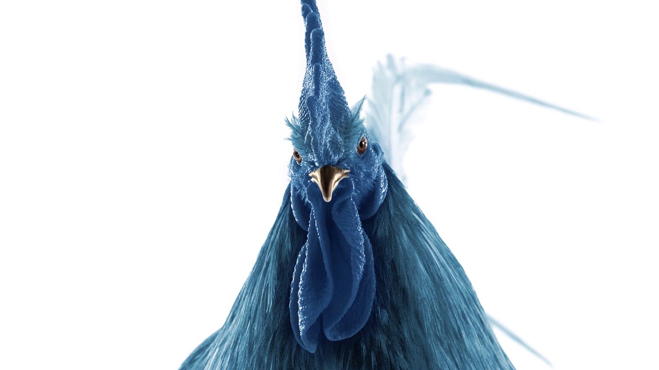 Highmark DE Blue Hen - Spinning - YouTube