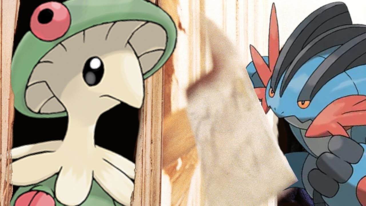 breloom in a slasher movie: - YouTube