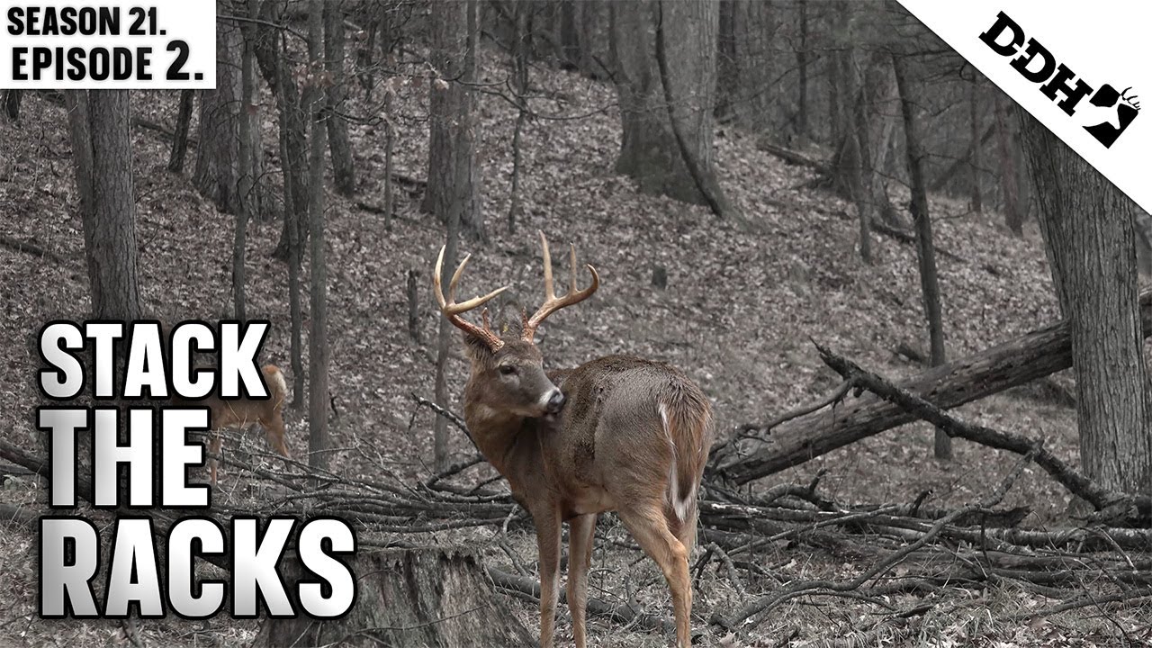 Stack the Racks | Deer & Deer Hunting TV - YouTube