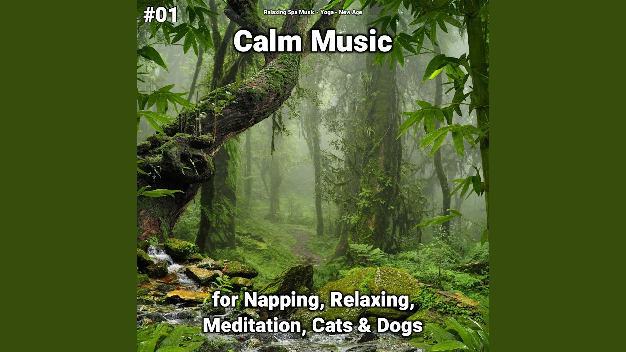 Tranquilizing Relaxation - YouTube