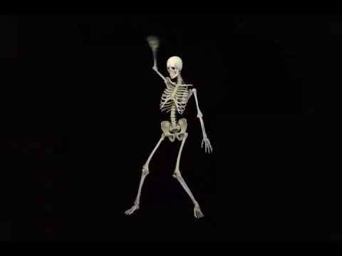 The skeletin Dance