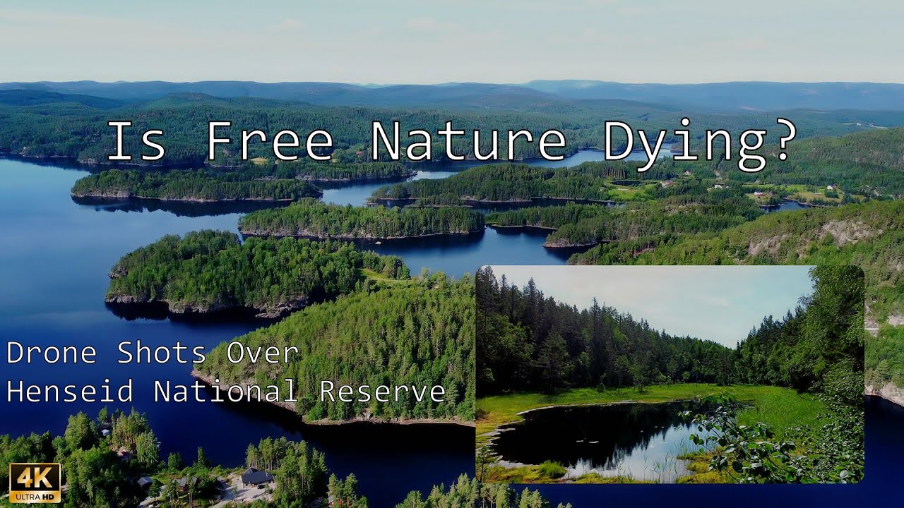 Norway 4K - Is The Free Nature Dying? - - YouTube