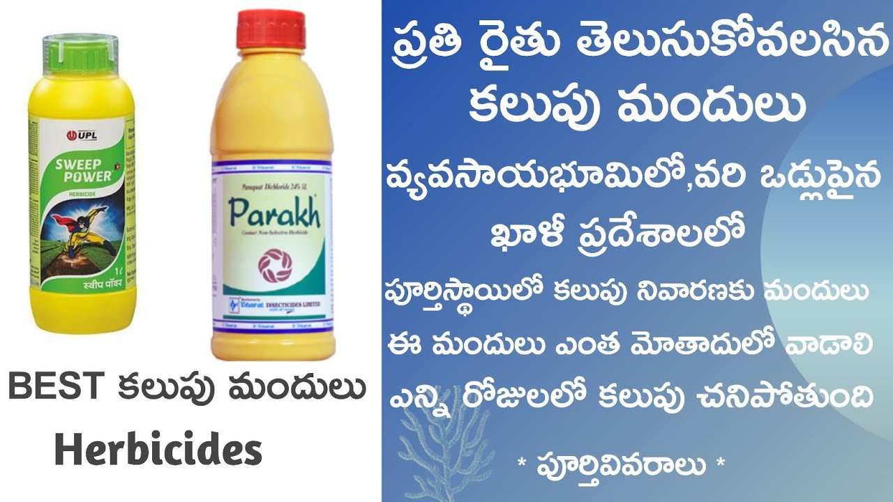37- కేవలం 2/3 రోజులలో అన్ని రకాల పంటలలో పూర్తిస్థాయిలో కలుపు నివారణ ...