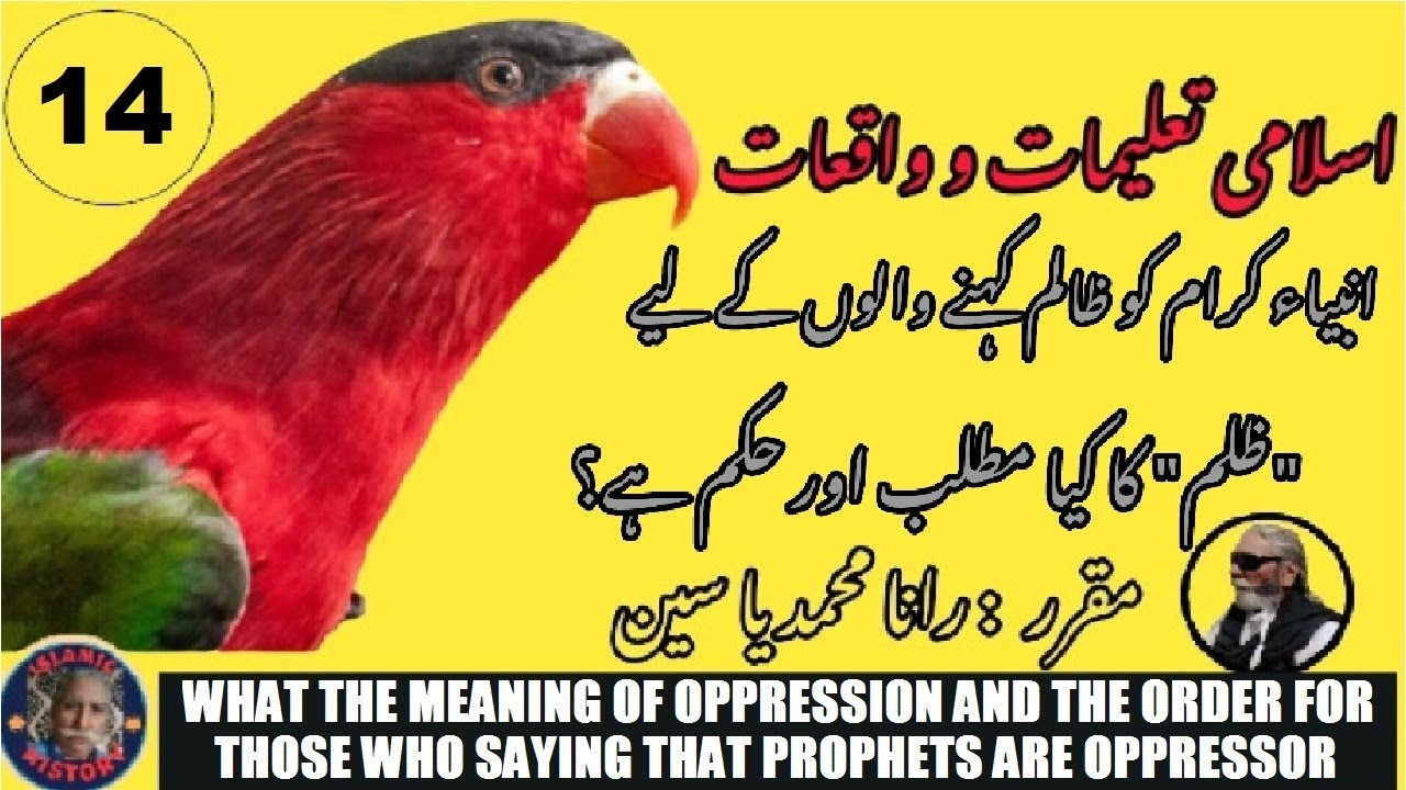 What the meaning of oppression and the order for those who saying that ...