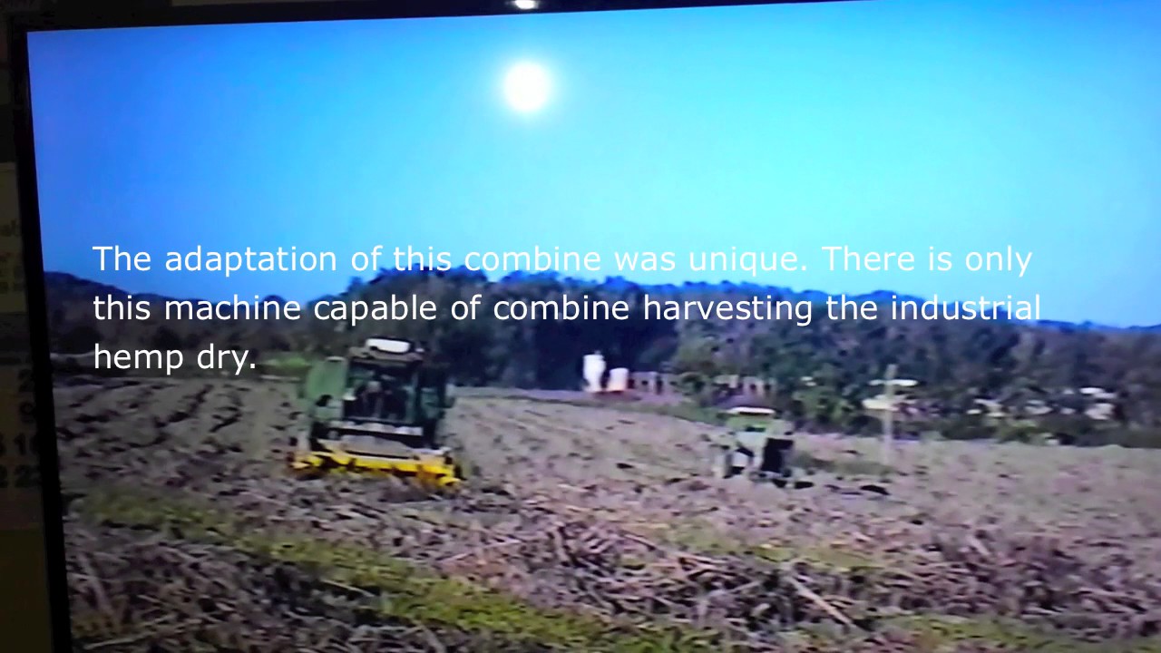 John Deere 975 combine Industrial hemp - YouTube