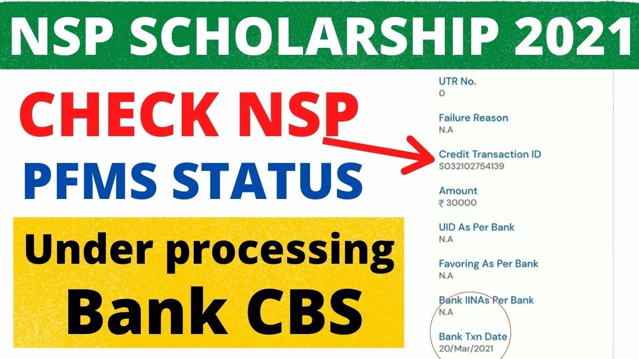 Check Nsp Pfms Status 2021 Pfms No Record Found Application Send To