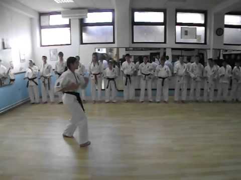 VANJA STEVANOVIC - 26 12 2015 - KK KOBRA - - IFK SERBIA - DEMONSTRACIJA ...