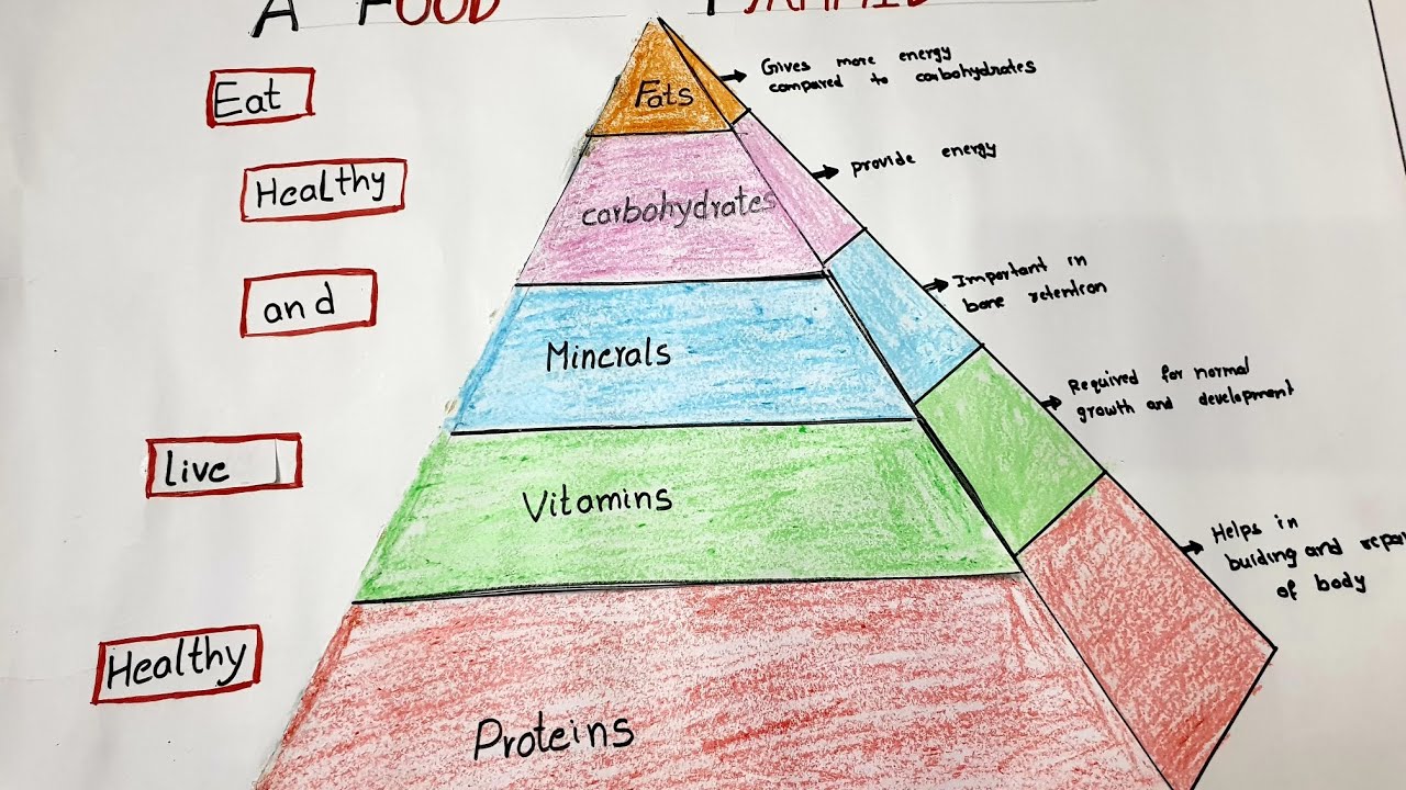 Food pyramid drawing | food pyramid science project | food pyramid ...