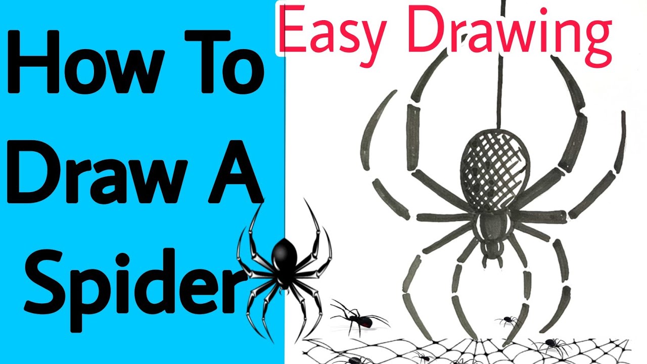 How To Draw A Spider / Spider Drawing Easy / How to Draw Spider Step by ...