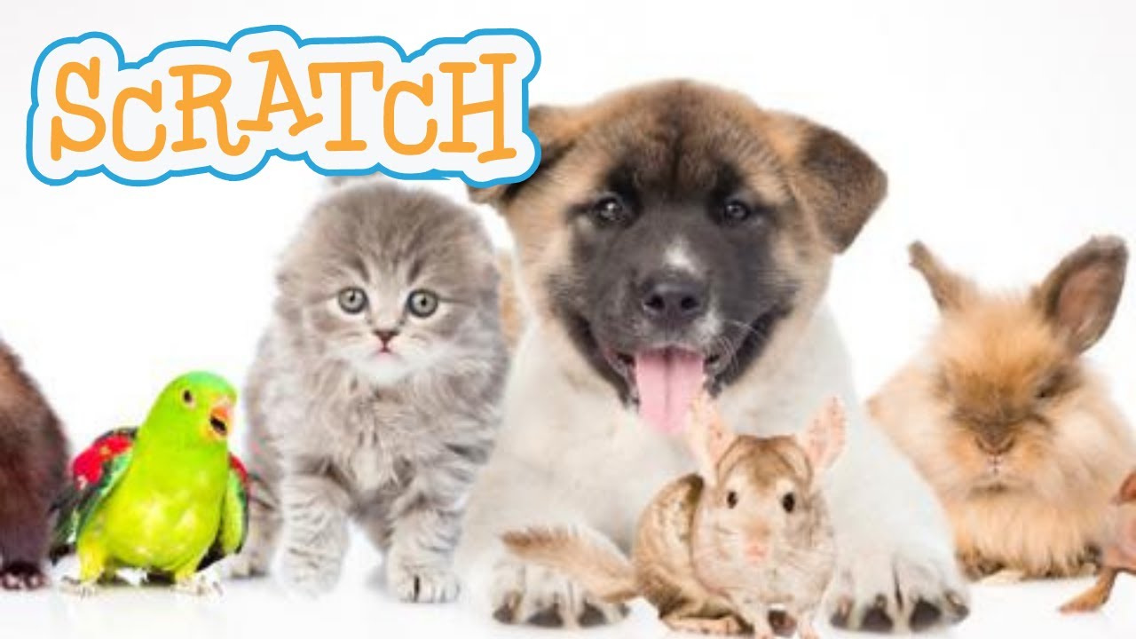 Mascota en Scratch - YouTube